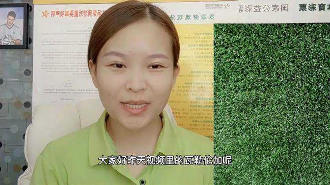 欧洲杯比利时vs意大利