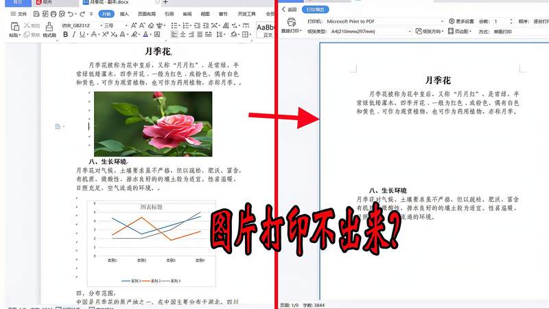 WPS文档中的图片打印不出来怎么回事?两种办法解决