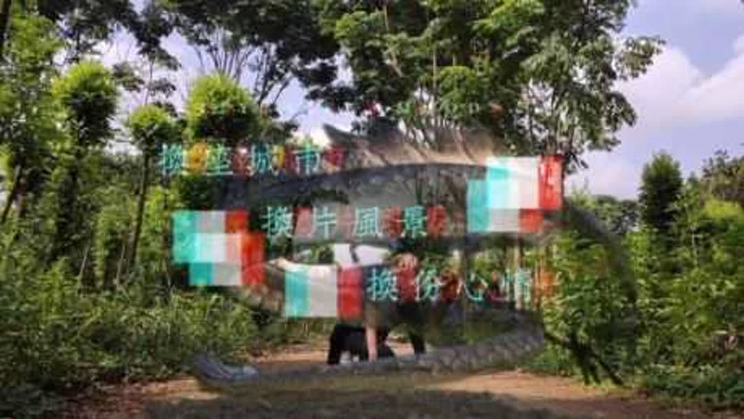 给视频加入绿幕素材,又炸又帅,视觉感又强,重要的是好玩