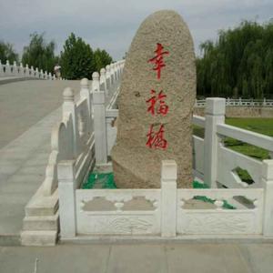 加油小队 