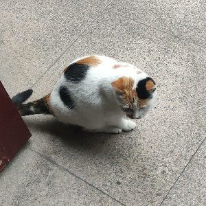 米糊炒面呐呐呐 