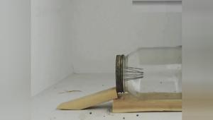 小伙自制简单捕鼠器,让老鼠有去无回!