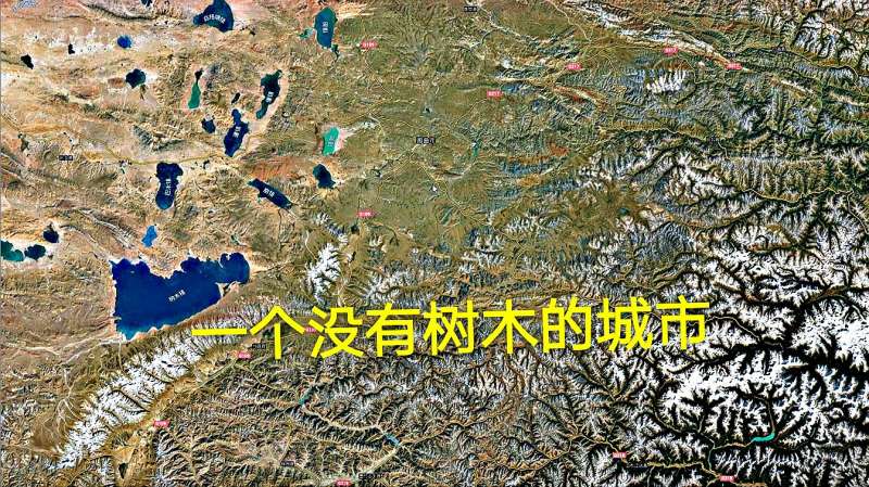 中国唯一没有树木的城市,种活一棵奖励30万,至今还没发过奖金