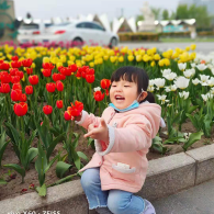 家有小女小伊伊 