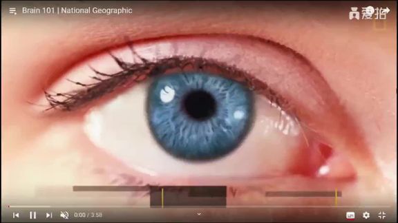 医学科普04:三分钟了解大脑构造,感悟生命的奥秘和神奇