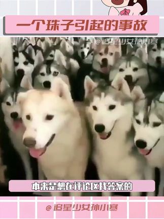 #一个珠子引起的事故 #电脑知识 这个世界终究是疯成了我想象的模样#...