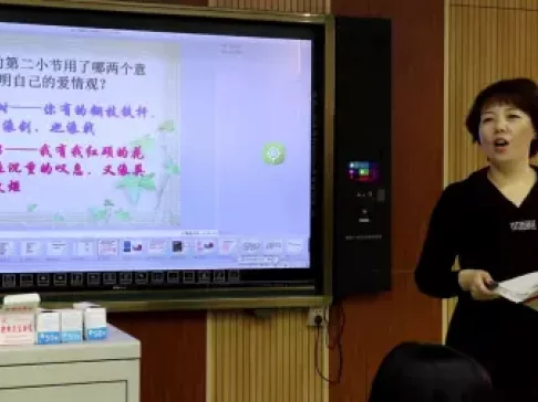 中职语文+蔡雅梅《致橡树》
