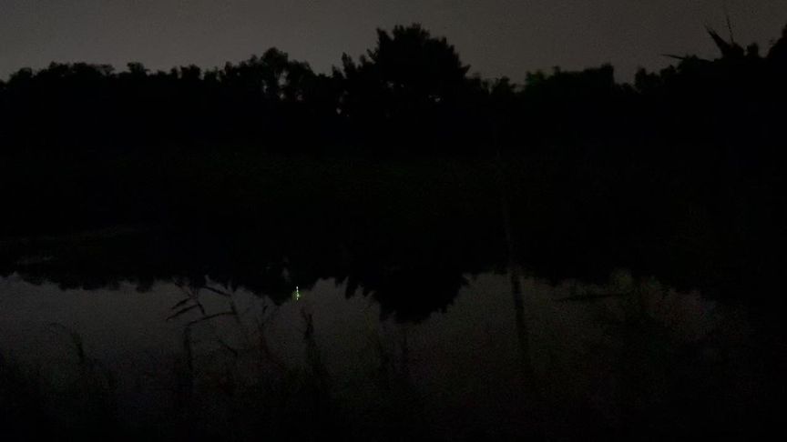 追求结果的同时、过程也一样重要#夜钓 #自渡