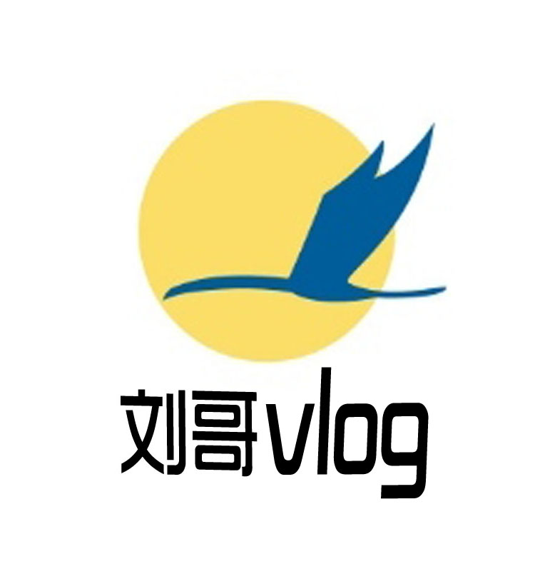 刘哥vlog 