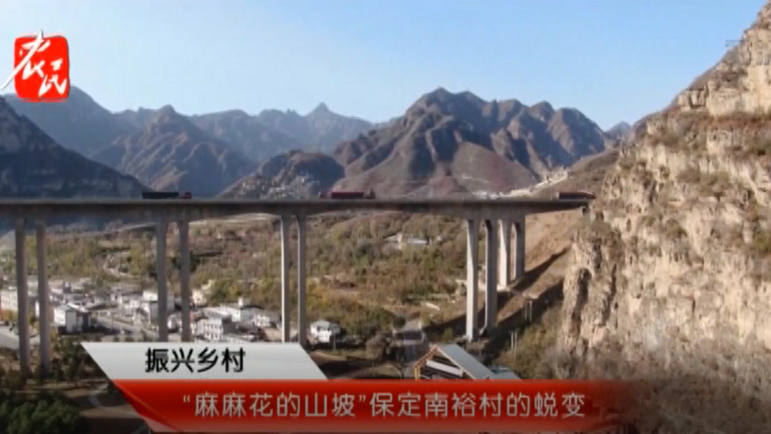 振兴乡村:“麻麻花的山坡”保定南峪村的蜕变