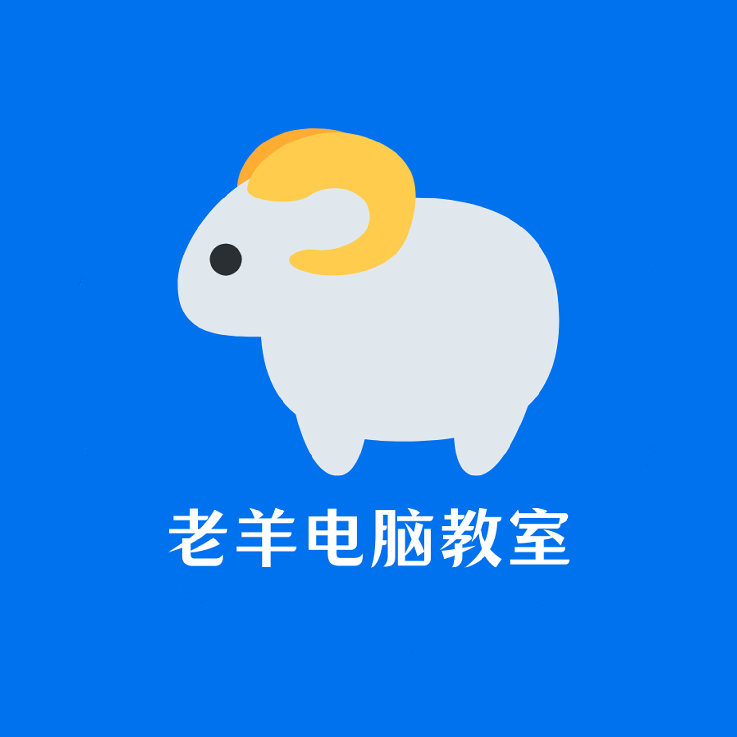 老羊的电脑教室 