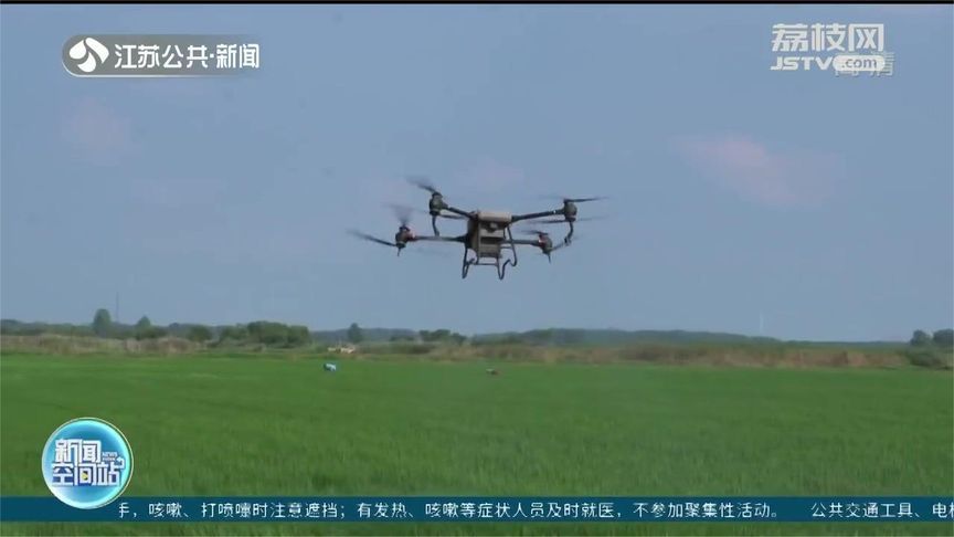大暑节气:水稻田间管理忙,丰产丰收打基础