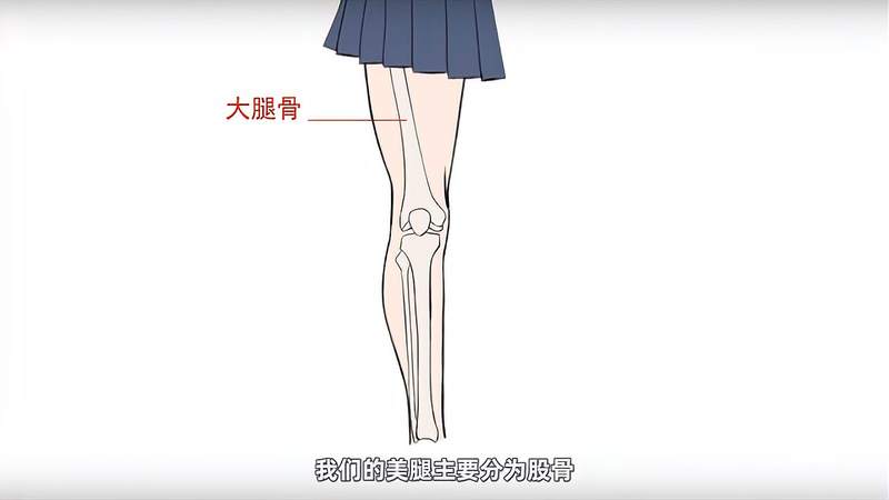 有脚就行的~腿部画法