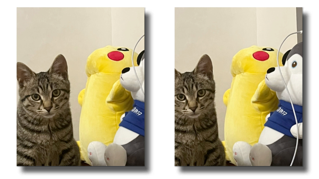 记录生活和小“蒜头”的成长之路#01