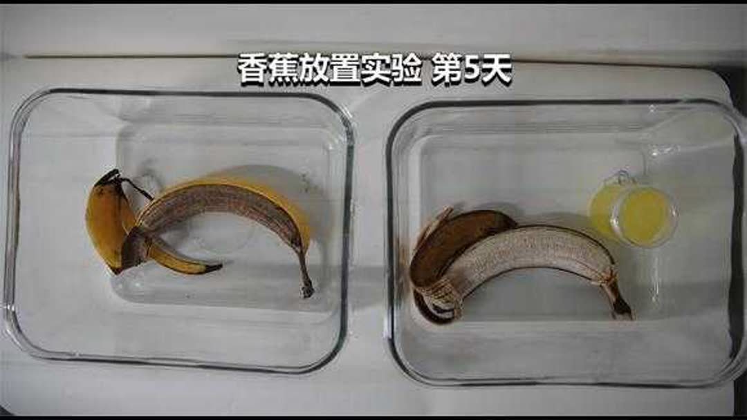 空气中的"细菌杀手"?清华工程师发明空气凝胶,30秒杀菌效果棒