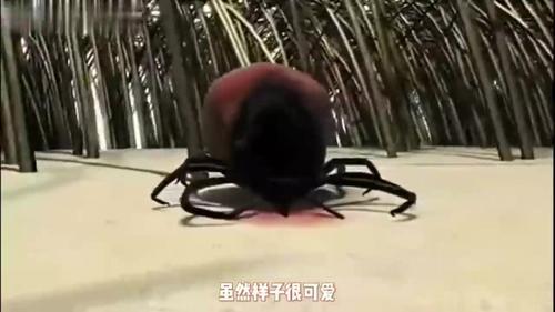 你肯定没见过显微镜下的恐怖生物