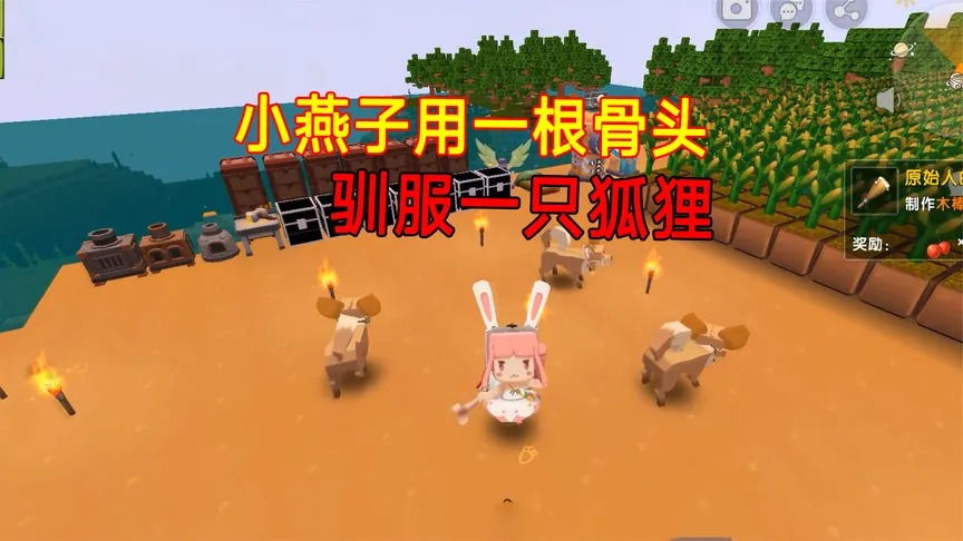 迷你世界:一根骨头驯服一只狐狸,小燕子家增加了三个新成员