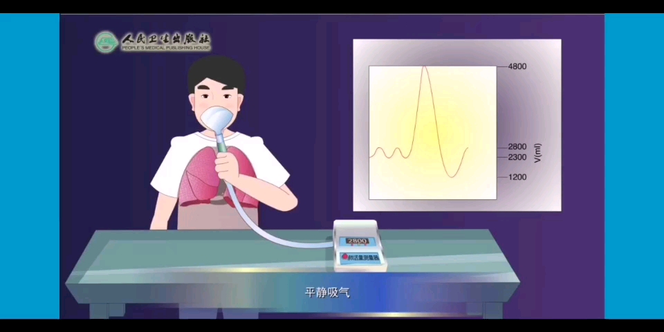 【生理学】肺容积和肺活量