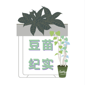 陈雨宁生活日常 