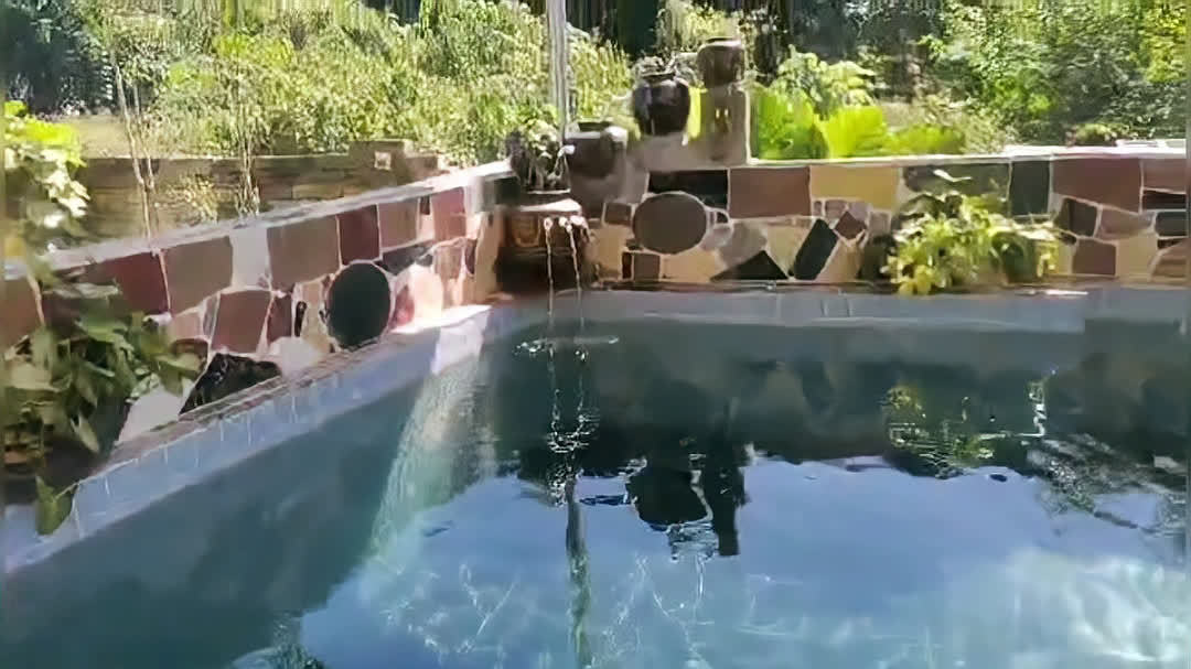 两套过滤系统的鱼池,过滤出的水真的是水清鱼靓