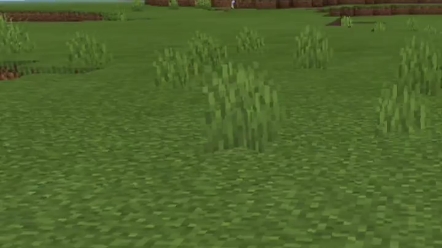 我的世界手机版模仿Java模主