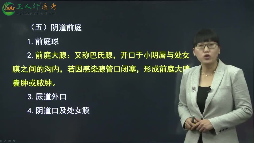 初级护师 妇产科护理学-女性生殖系统解剖