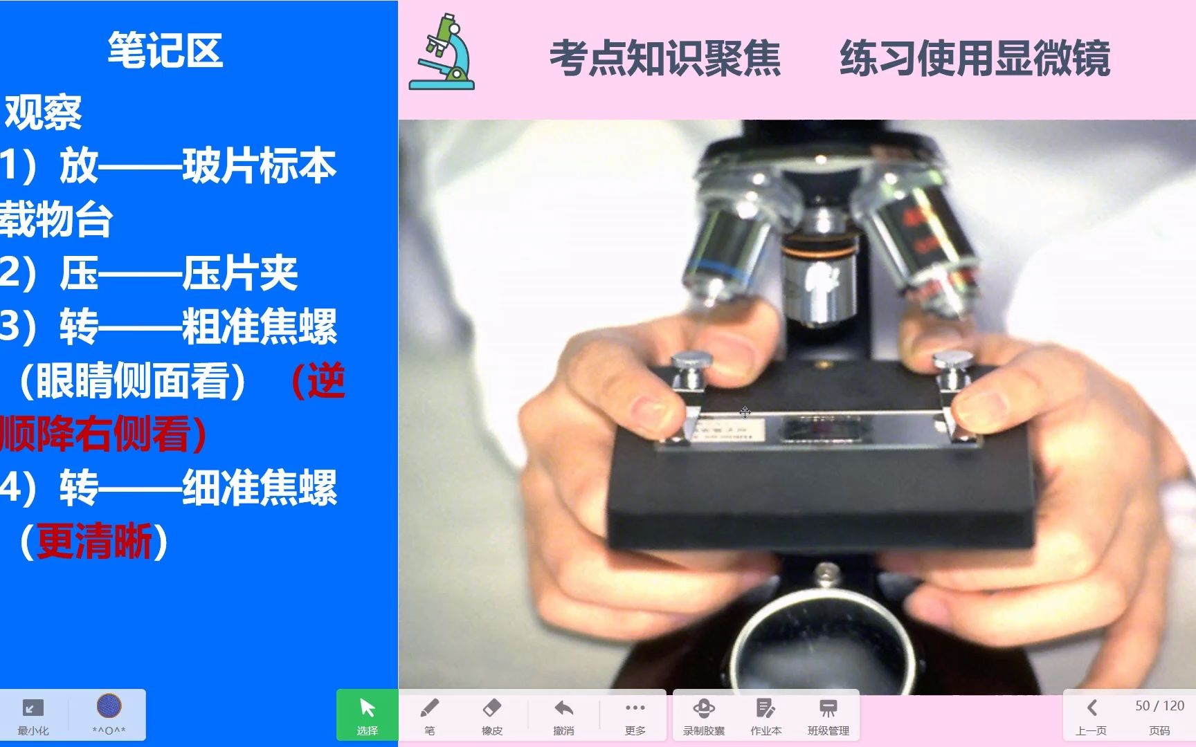 显微镜的结构和功能