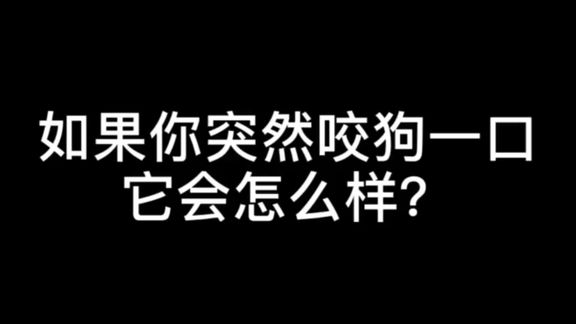 假如你突然咬狗一口它会怎么样?