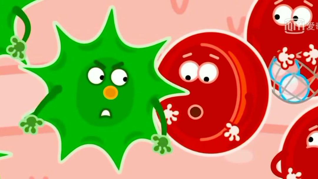 狮子家族:细菌大战白细胞