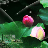 廖芳谈育儿 