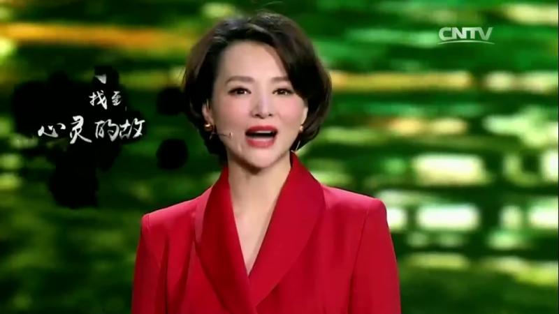 中国诗词大会 董卿精彩的演讲开场白