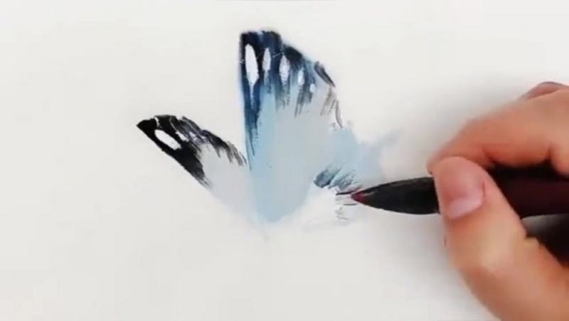 中国水墨画艺术:好美的一只蝴蝶,真可谓是妙手绘丹青,太美了!