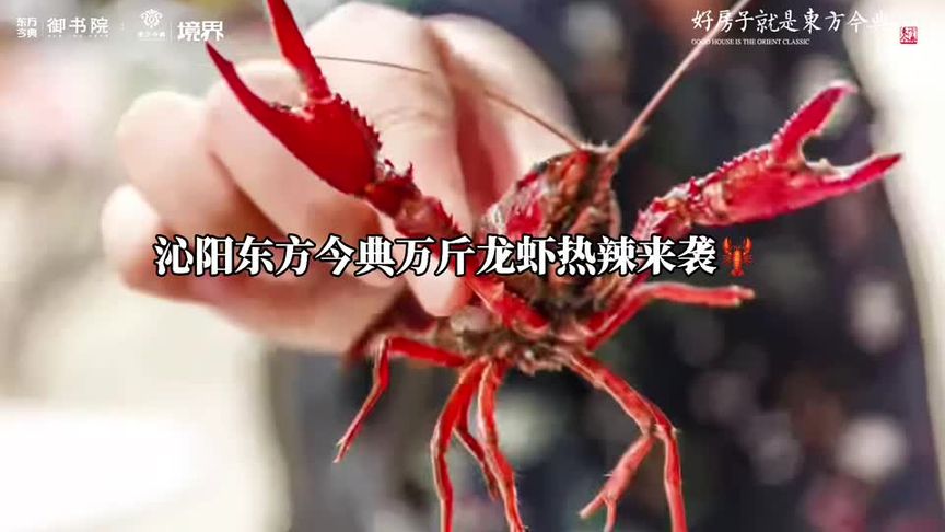 夏天配龙虾,生活才够味!嗨吃畅玩享受周末狂欢[烟花]#房地产