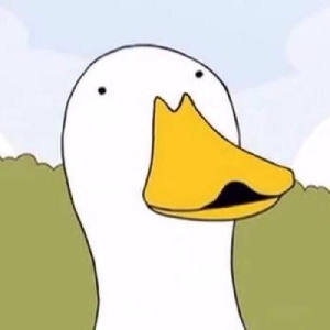 q呆头鹅p 