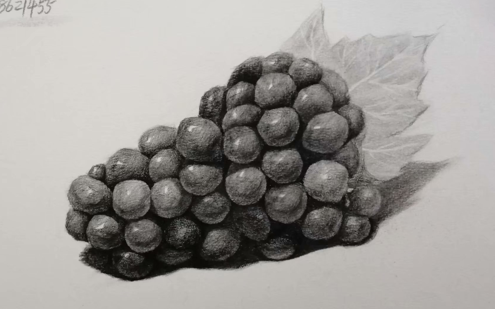 【素描教程】画个葡萄,简单物体的形态与光影的把控(上)