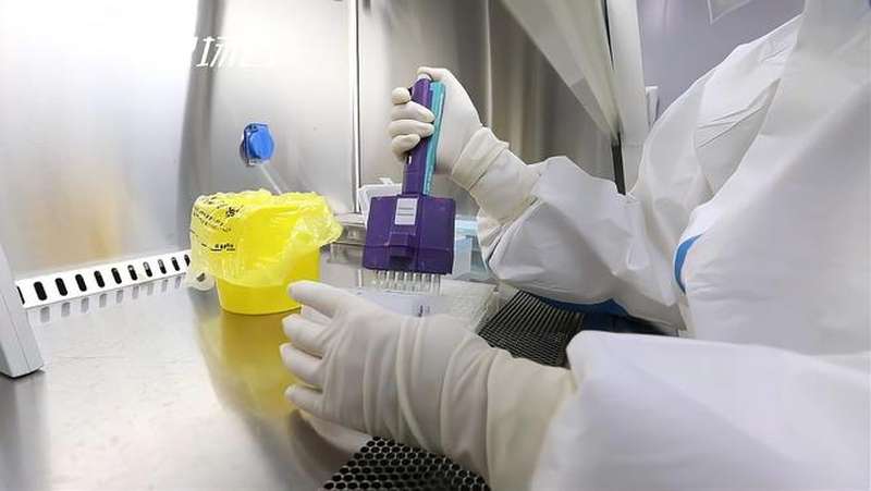 新华全媒+丨探访PCR实验室:“猎毒”团队的24小时坚守