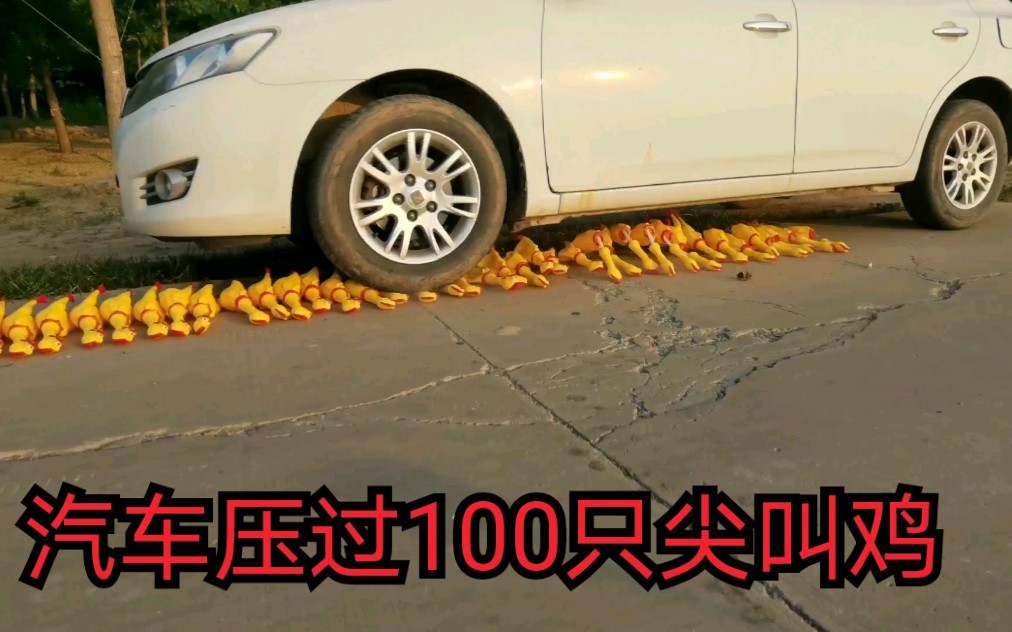 尖叫鸡装在汽车排气管上会怎样?用汽车压过100只尖叫鸡会怎样?