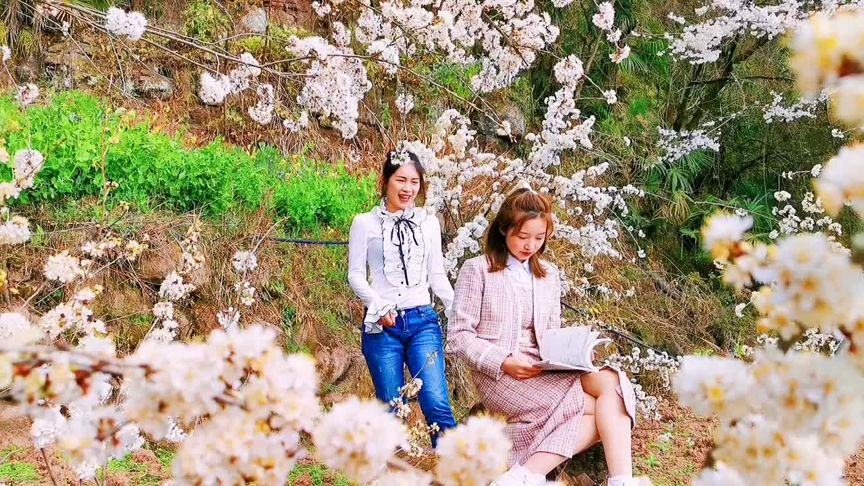 樱桃花开了!#四川文旅推介 #四川文旅#莫负时光莫负己