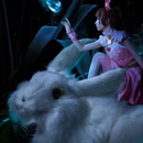 高手云集大才子 