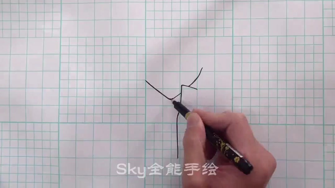 凹凸世界蒙特祖玛徒手绘画过程。绘画每日一画动漫手绘
