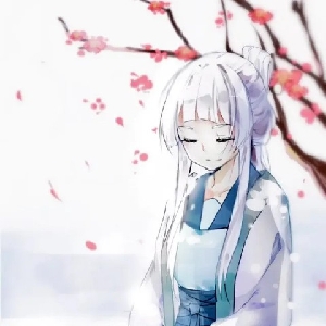 木荷树 