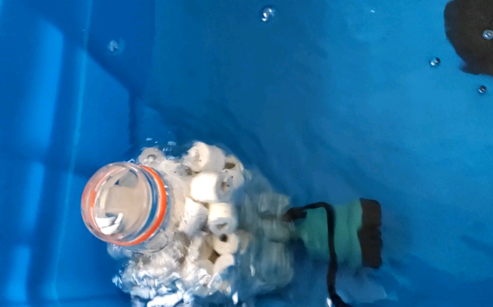 DIY做了一个生物过滤器