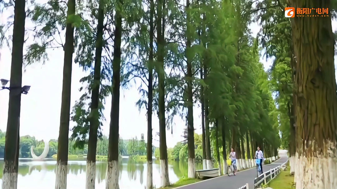 衡阳市城管局坚持绿色发展 智慧管理