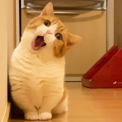 UnabashedlyCyanDictator 