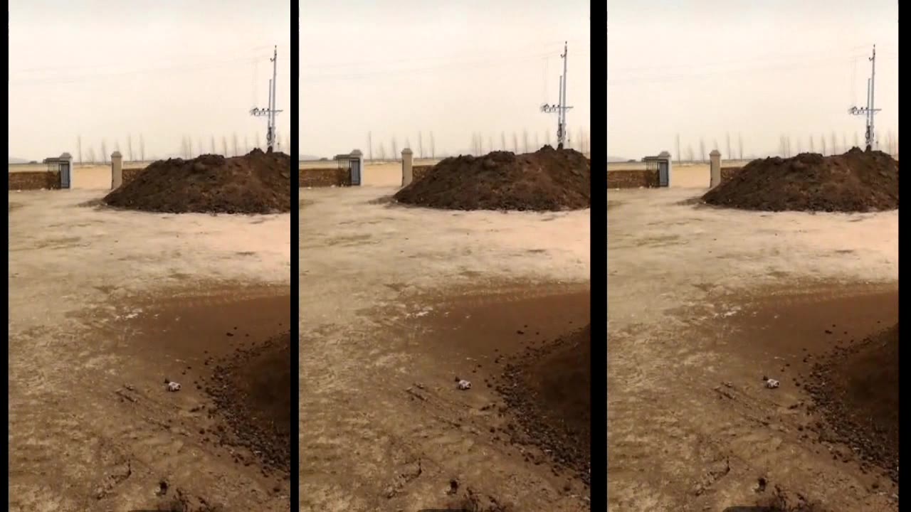 新型破碎机粉碎机育苗营养土培育牛羊粪粉碎机使用技巧