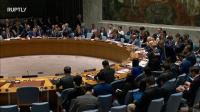 叙利亚驻联合国大使贾法里: 他们侵略的不仅仅是我的国家