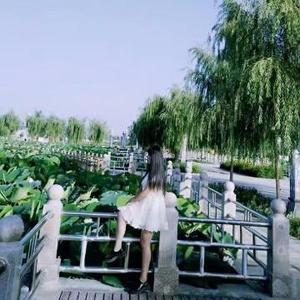 小张和小王的点点滴滴 