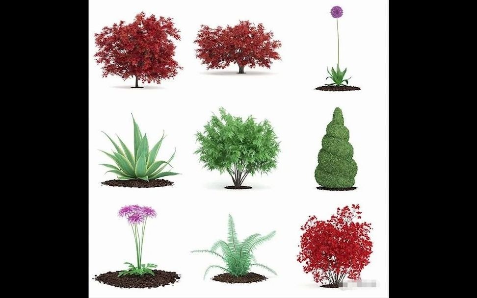31款园林植物鲜花草地绿植模型C4D MAYA MAX OBJ 3D模型1