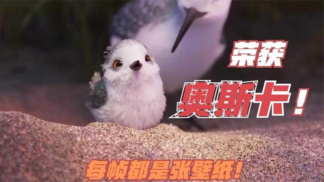 荣获奥斯卡最佳动画短片奖!就像真实拍摄的记录片