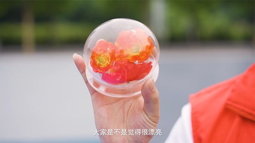 禁毒知识小课堂,一起听一听吧~